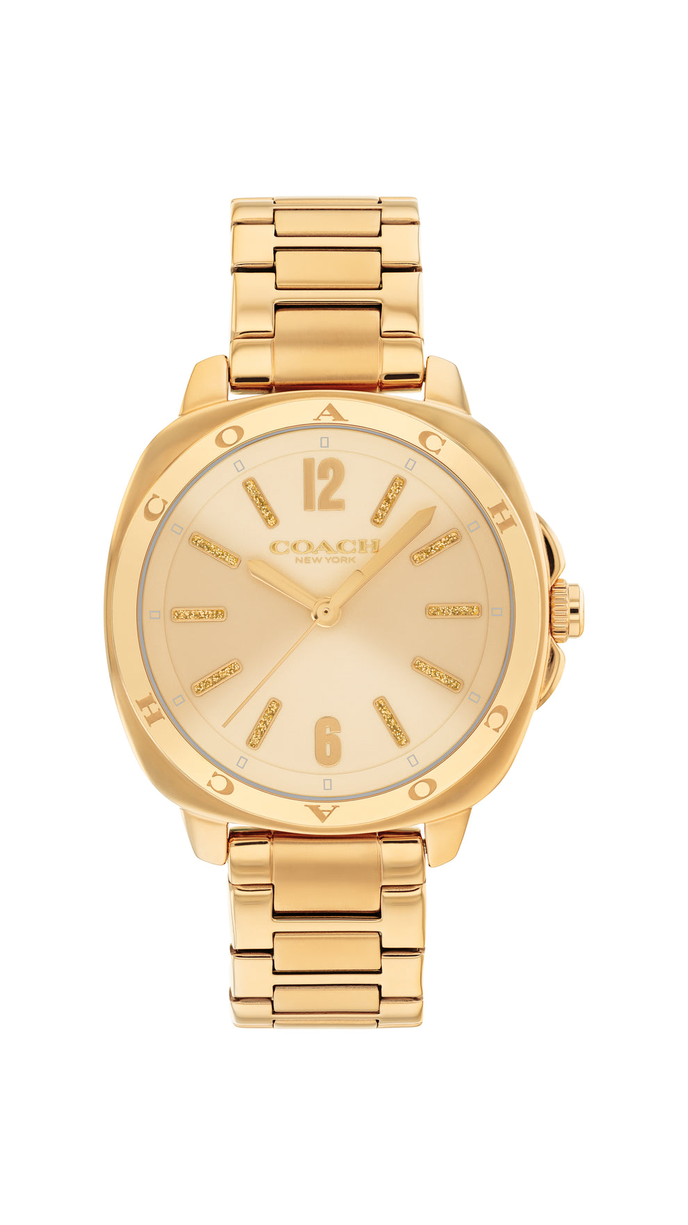 Coach KITT 34 mm Multi Dial Women Watch- 14504468 – Only Watches